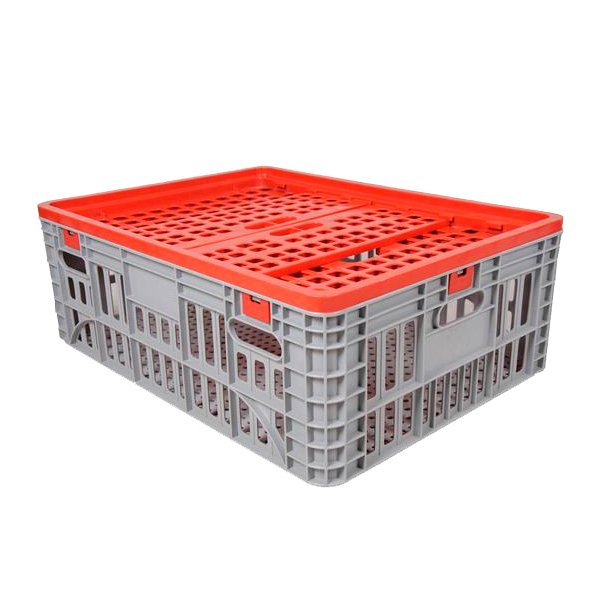 Caixa Plástica Frango Vivo – Plascaixas Caixa Plástica Frango Vivo – Plascaixas